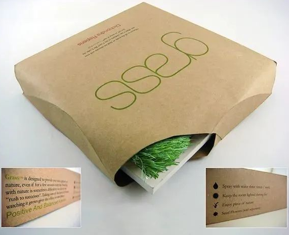 Top 10 Best Eco-Friendly Packaging Design Ideas 2023